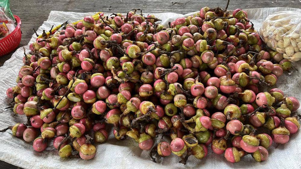 Kalangkala: Buah Langka dari Kalimantan yang Unik | IDN Times Kaltim