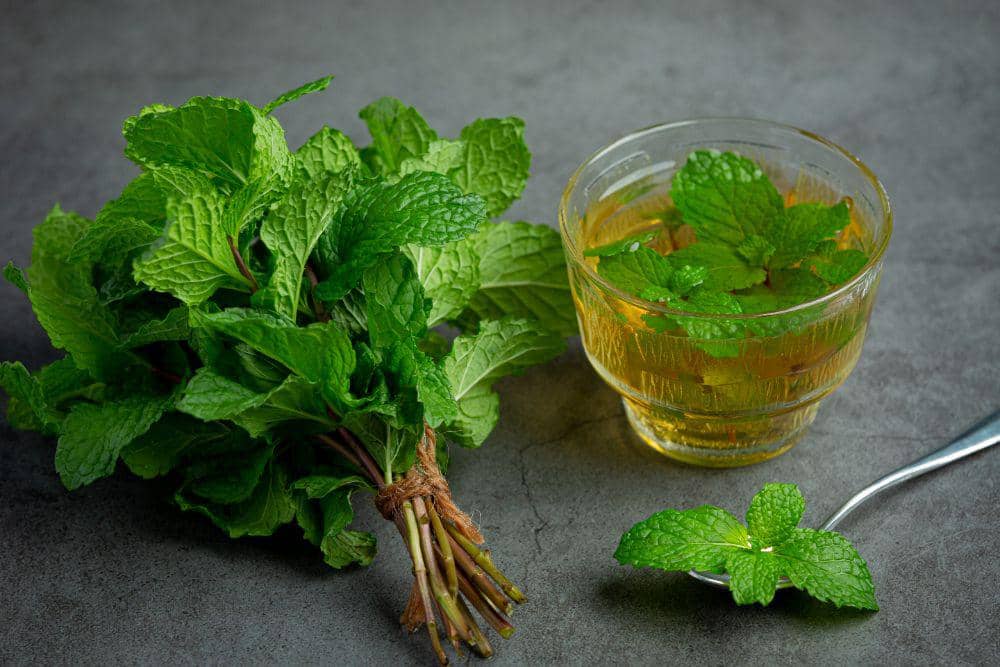 10 Dressing yang Cocok untuk Salad, Bikin Kaya Rasa | IDN Times