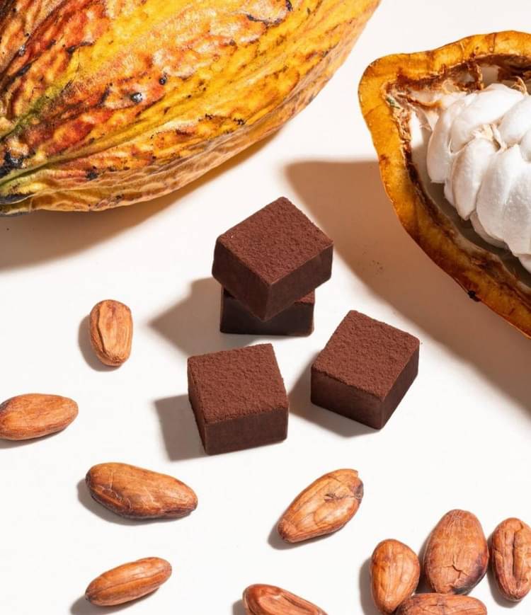 Varian Rasa Falala Chocolate | IDN Times