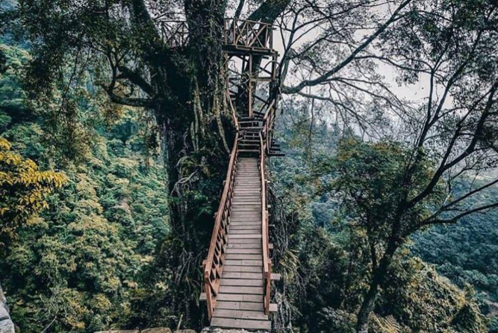 Tempat Wisata Alam dan Kekinian di Kawasan Puncak 2 Bogor | IDN Times