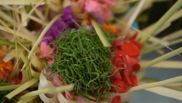 Makna Canang di Bali dan Cara Mengatur Bunga | IDN Times Bali