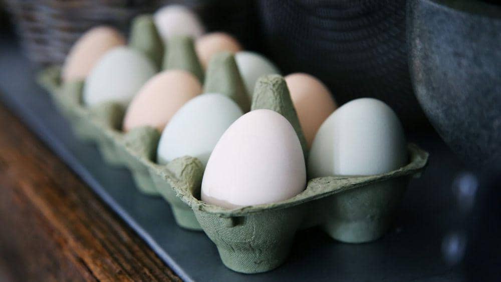 5 Hal Ini Perlu Kamu Tahu Sebelum Simpan Telur di Suhu Ruang | IDN Times