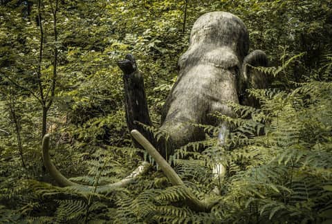 Kenapa Mammoth Punah? 5 Fakta Kehidupannya di Zaman Es | IDN Times Jogja