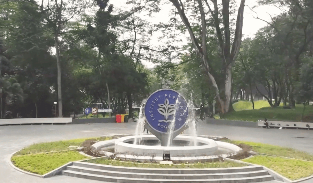 Daya Tampung IPB 2025 Beserta Peluang Keketatan Jurusannya | IDN Times