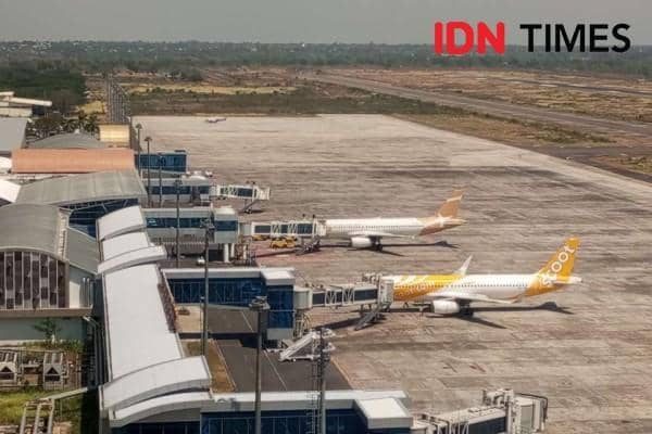 Maskapai Australia Buka Direct Flight Lombok-Darwin | IDN Times NTB