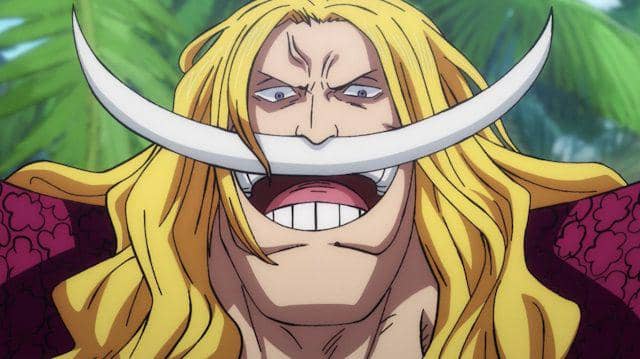 5 Karakter One Piece yang Jadi Orangtua Angkat | IDN Times