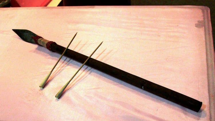 Senjata Tradisional dari Provinsi NTB yang Dipakai | IDN Times NTB
