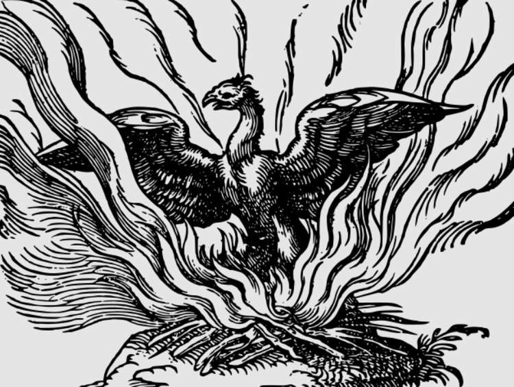 5 Fakta Menarik Phoenix, Burung Api yang Bangkit dari Abu | IDN Times