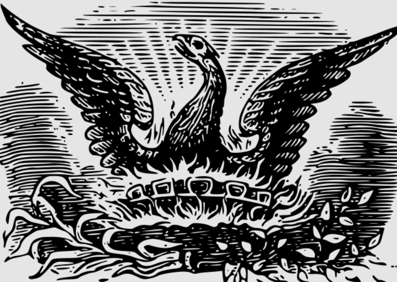 5 Fakta Menarik Phoenix, Burung Api yang Bangkit dari Abu | IDN Times