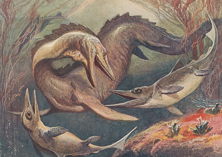 5 Fakta Mosasaurus, Predator Laut yang Menginspirasi Jurassi | IDN Times