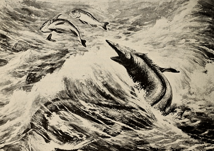 5 Fakta Mosasaurus, Predator Laut yang Menginspirasi Jurassi | IDN Times