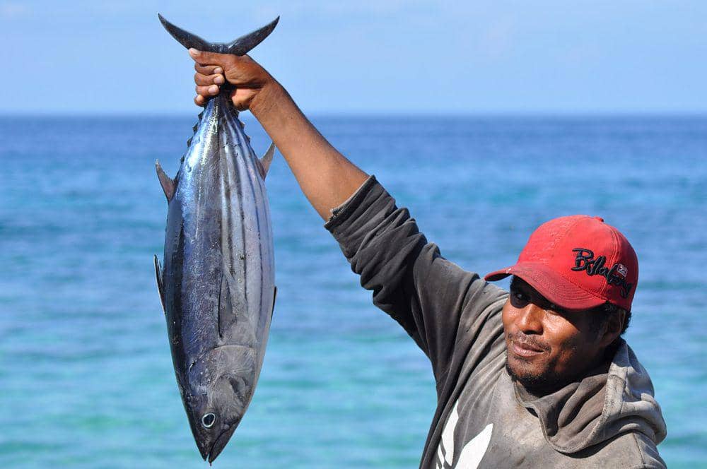 5 Spesies Tuna Terpopuler di Indonesia, Bisa Dibeli di Pasar | IDN Times