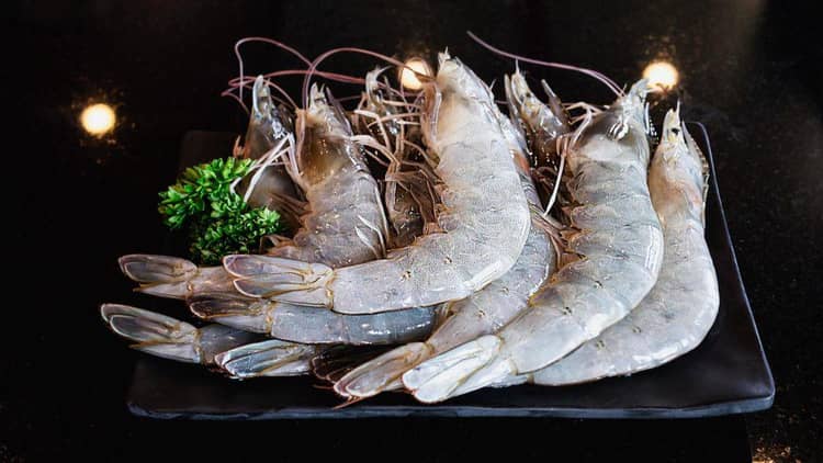 Apakah Shrimp dan Prawn Berbeda? Ini Penjelasannya! | IDN Times