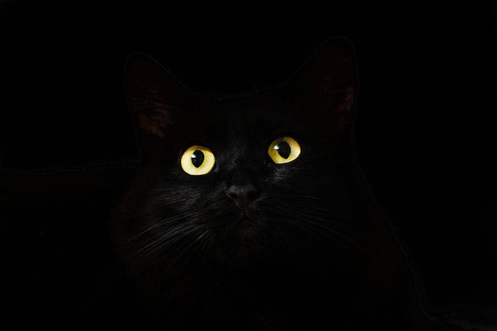 Mengapa Hitam Bukan Warna? Ini Penjelasan Menurut Fisika | IDN Times