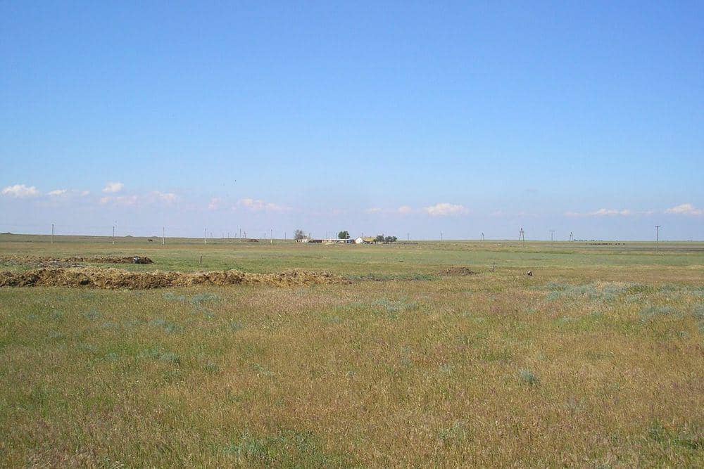 6 Fakta Menarik Stepa, Padang Rumput Kering dan Dingin | IDN Times