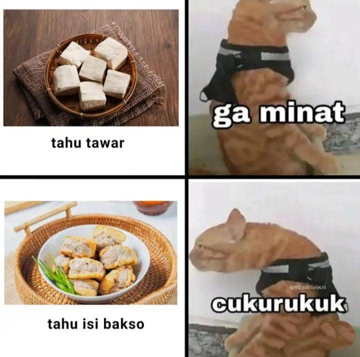7 Meme Kucing Cukurukuk vs. Gak Minat | IDN Times