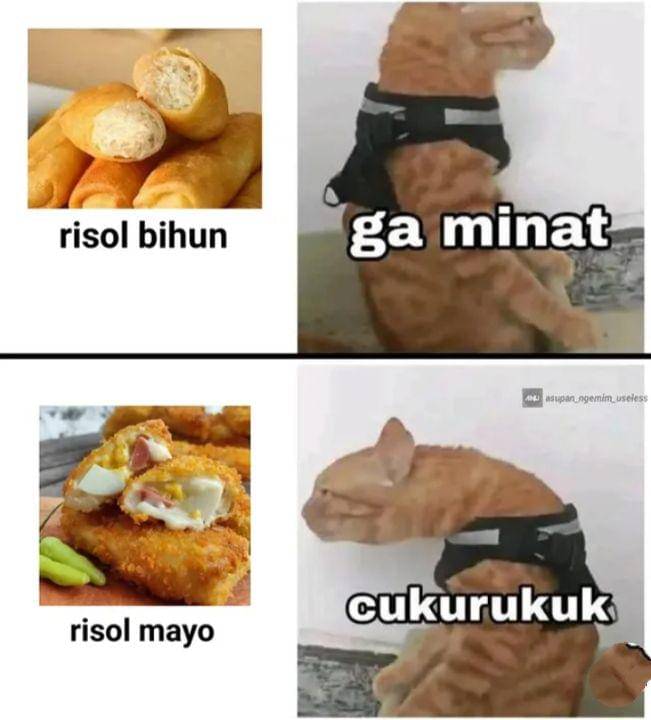 7 Meme Kucing Cukurukuk vs. Gak Minat | IDN Times