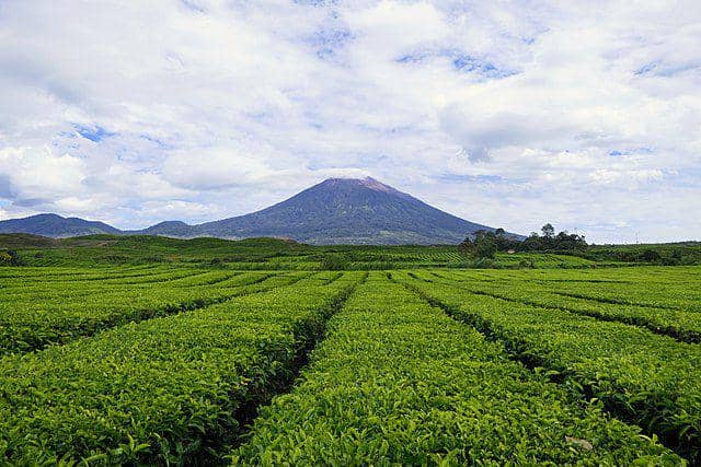 7 Gunung di Sumatra yang Wajib Masuk Daftar Pendakianmu | IDN Times Sumsel