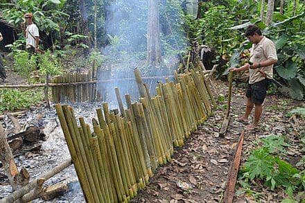 3 Fakta Unik Lemang Bambu Srikaya, Kuliner Autentik Khas Medan | IDN ...