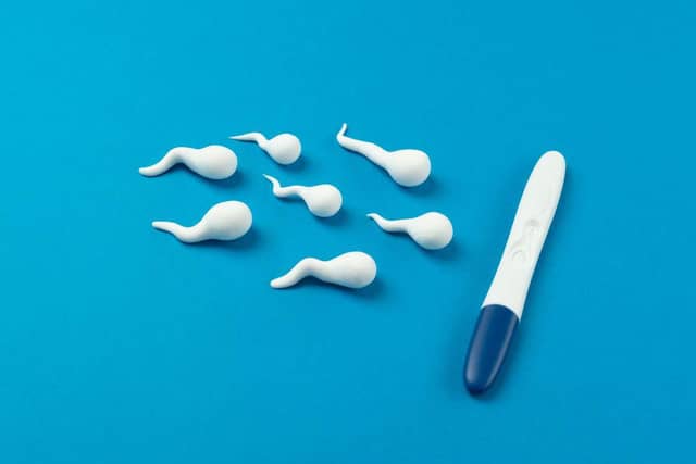 Sperma Terbuat dari Apa? Begini Proses Pembentukannya | IDN Times