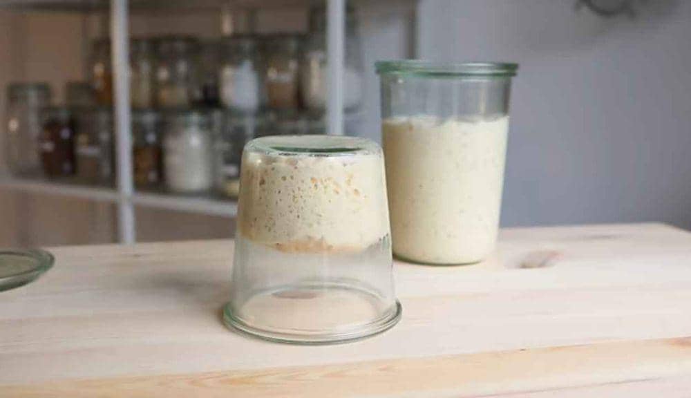 5 Tips Membuat Sourdough Starter Bagi Pemula | IDN Times