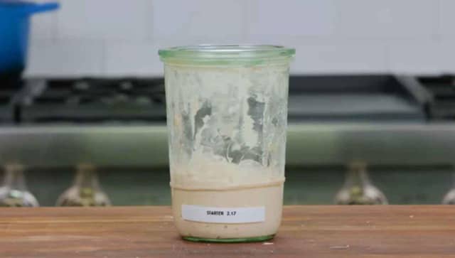 5 Tips Membuat Sourdough Starter Bagi Pemula | IDN Times