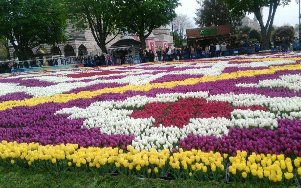 Festival Tulip Istanbul: Lokasi, Sejarah, Arti Warna Bunga | IDN Times
