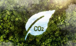 Net-Zero 2050: Target Emisi BDO Indonesia Disetujui SBTi | IDN Times Jabar