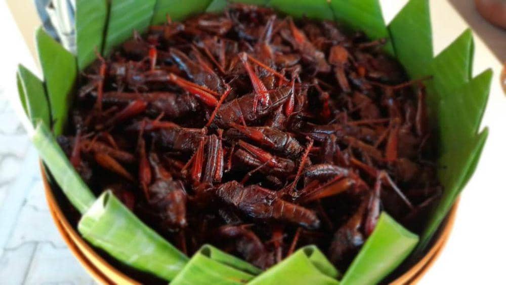 6 Makanan Khas Gunungkidul, Ada Gathot hingga Tiwul | IDN Times Jogja