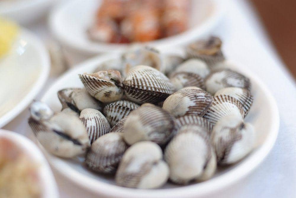 7 Manfaat Kerang Bagi Kesehatan, Baik untuk Dikonsumsi | IDN Times Sumut