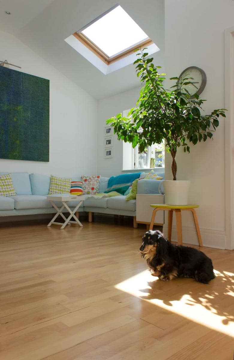 10 Tips Penerapan Skylight dalam Rumah, Pencahayaan Alami | IDN Times