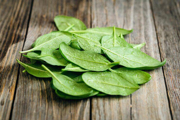 Apa Bedanya Bayam dengan Spinach? Ini 5 Penjelasannya! | IDN Times Jogja