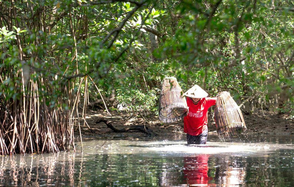 5 Fakta Menarik Pohon Bakau, Bisa Dijadikan Ecoprint | IDN Times