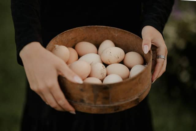 5 Hal Ini Perlu Kamu Tahu Sebelum Simpan Telur di Suhu Ruang | IDN Times