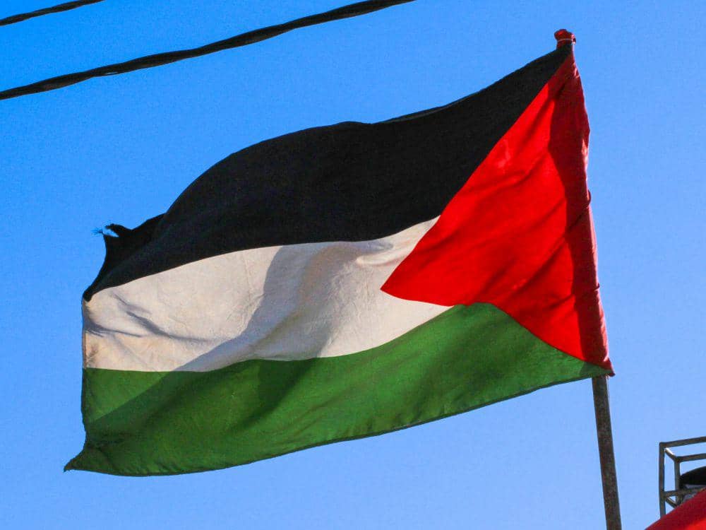 Prabowo Bicara di PBB, Isu Palestina Dipastikan Masuk Agenda Utama ...