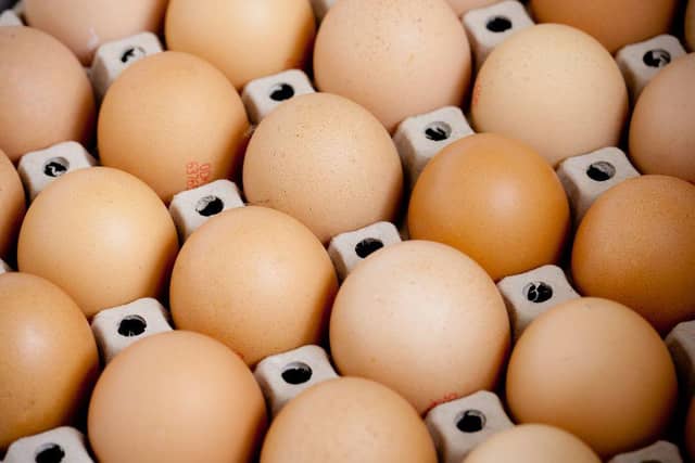 Harga Sembako Palembang Hari Ini: Telur Naik, Daging Ayam-Cabai Turun ...