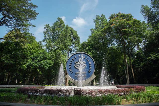 Cek Biaya Kuliah S2 IPB, Pendaftaran Dibuka hingga 10 Juli 2025! | IDN ...