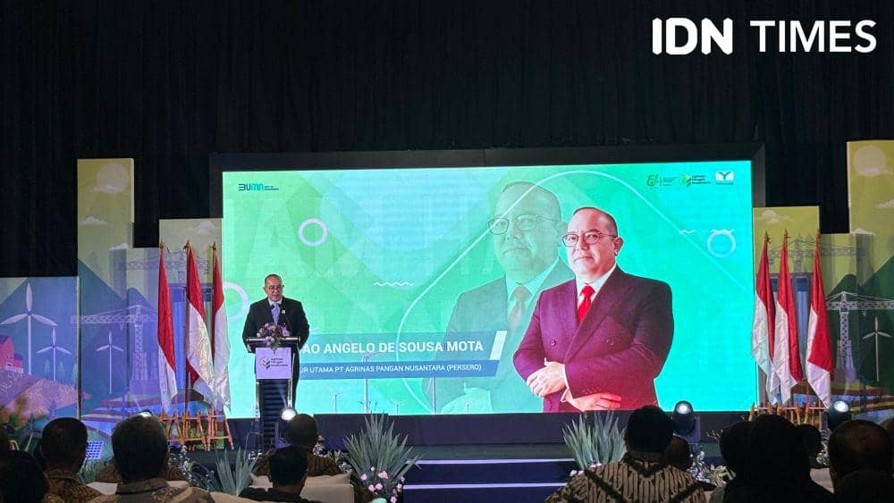 Profil Agrinas Pangan Nusantara, BUMN Karya Jadi Garap Sawah | IDN Times