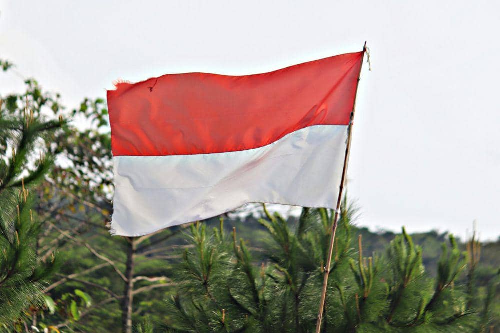 Sejarah Hari Kebangkitan Nasional, Bangkitkan Nasionalisme! | IDN Times