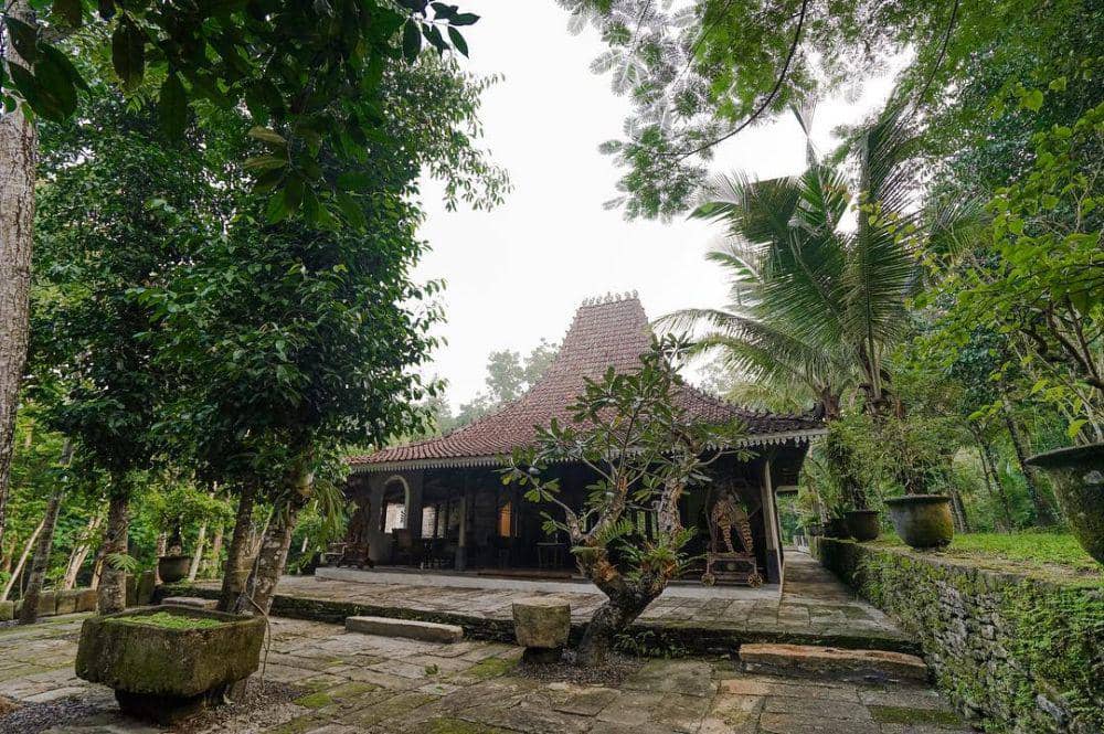 Jiwa Jawi Jogja, Resto Jawa Autentik di Tengah Hutan | IDN Times Jogja