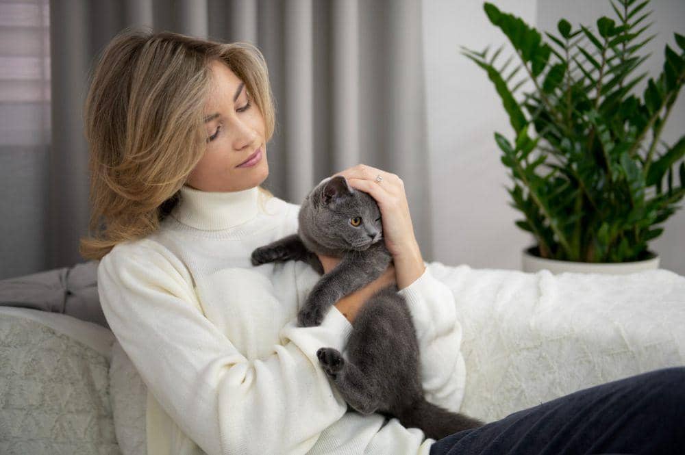 6 Tanda Kucing Peliharaanmu Hidup Bahagia di Rumah | IDN Times