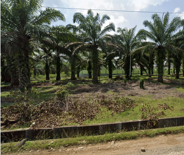 Bentrokan PT Torganda dan PT Agrinas di Kebun Sawit Riau | IDN Times Sumut