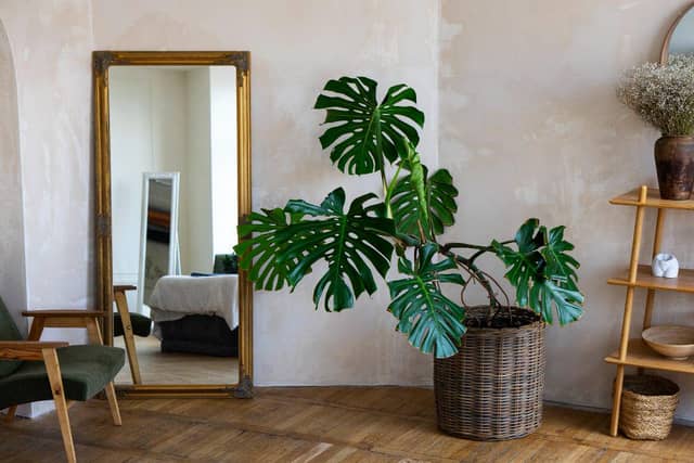 5 DIY Room Makeover Viral TikTok, Modalnya Ternyata Segini | IDN Times