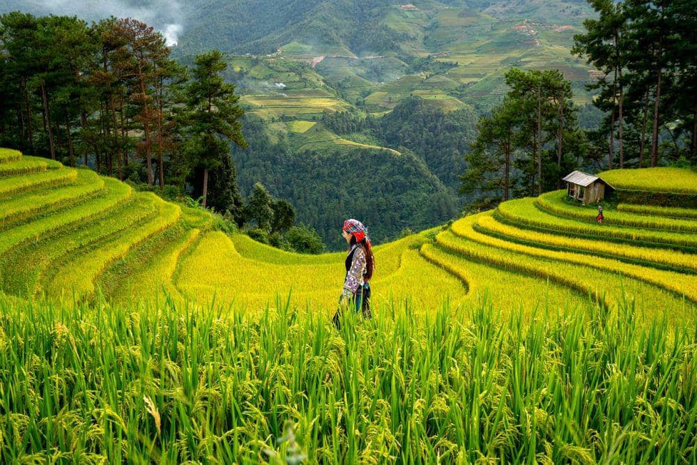 Perbedaan Lembah dan Bukit yang Perlu Kamu Tahu | IDN Times