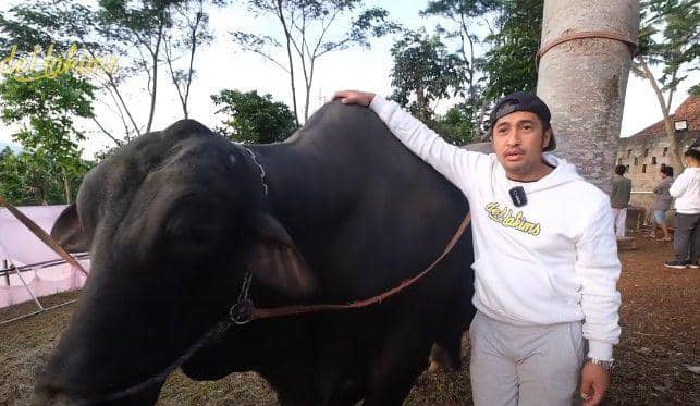 Nama Sapi Kurban Irfan Hakim dari Tahun ke Tahun | IDN Times