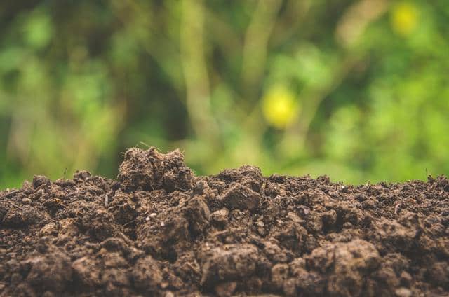 7 Fakta Menarik Tanah Andosol, Salah Satu Jenis Tanah Terbanyak di ...