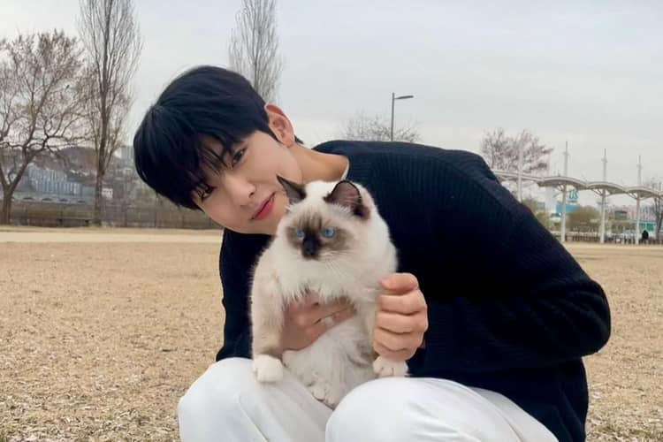 Biodata dan Profil Lim Sung Kyun, Scene Stealer ONE: High School Heroes ...