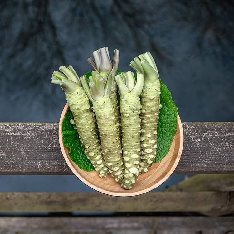 Sejarah dan Budidaya Wasabi, Ikon Masakan Jepang | IDN Times