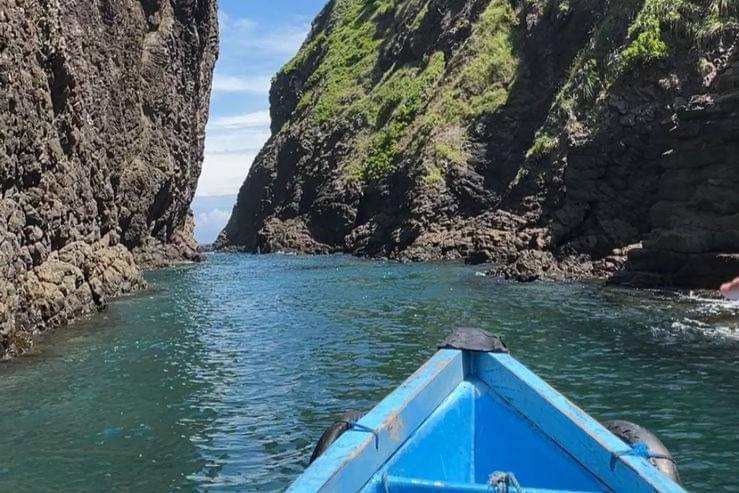 Open Trip ke Banyuwangi, Jelajahi Green Island dan Pulau Bedil | IDN Times