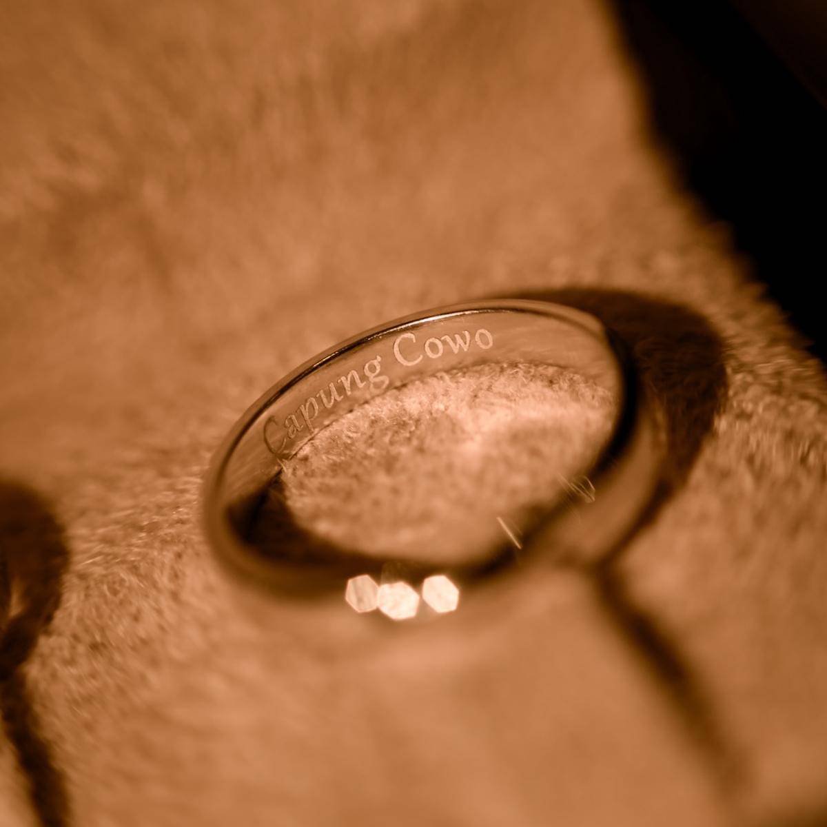 7 Potret Pernikahan Yono Bakrie dan Vini Caroline, Sederhana di KUA ...